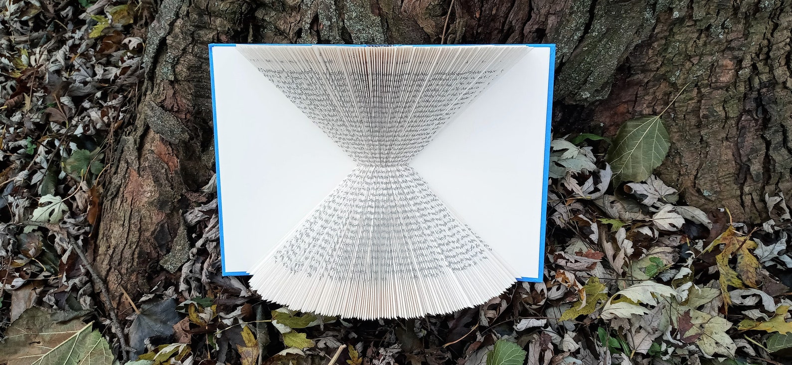 Folded Book Art / 3D Book Sculpture / Book Origami / Book Page - Etsy