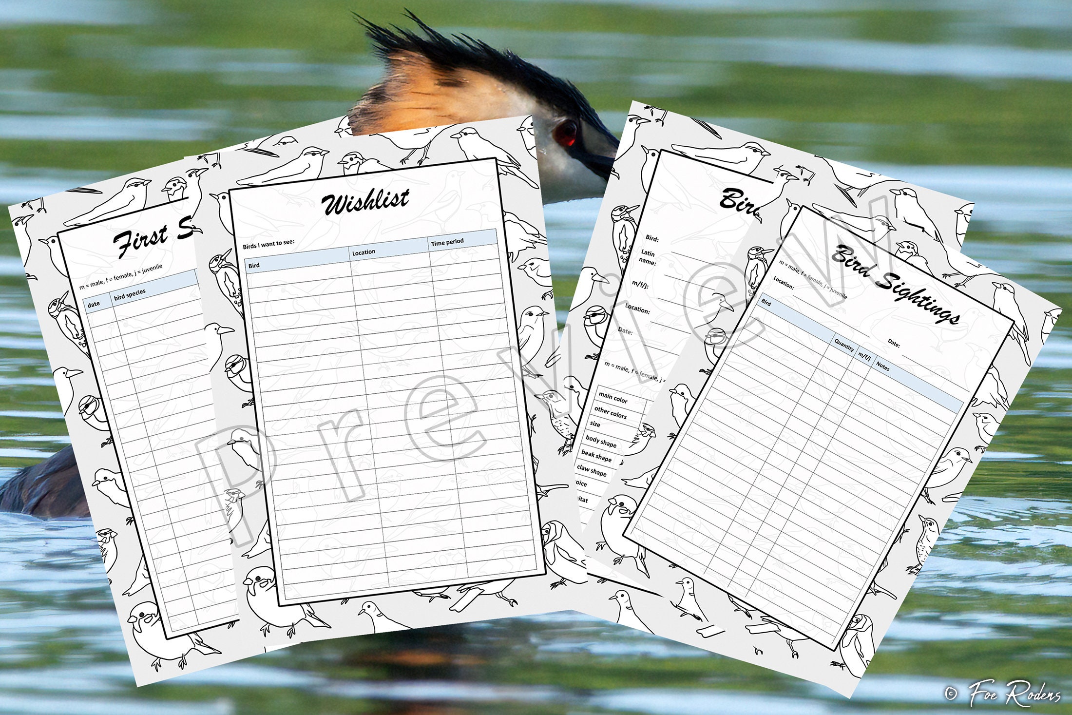 Bird Watching: 115 PDF Files, Instant Download, Printable, Bird Log in ...