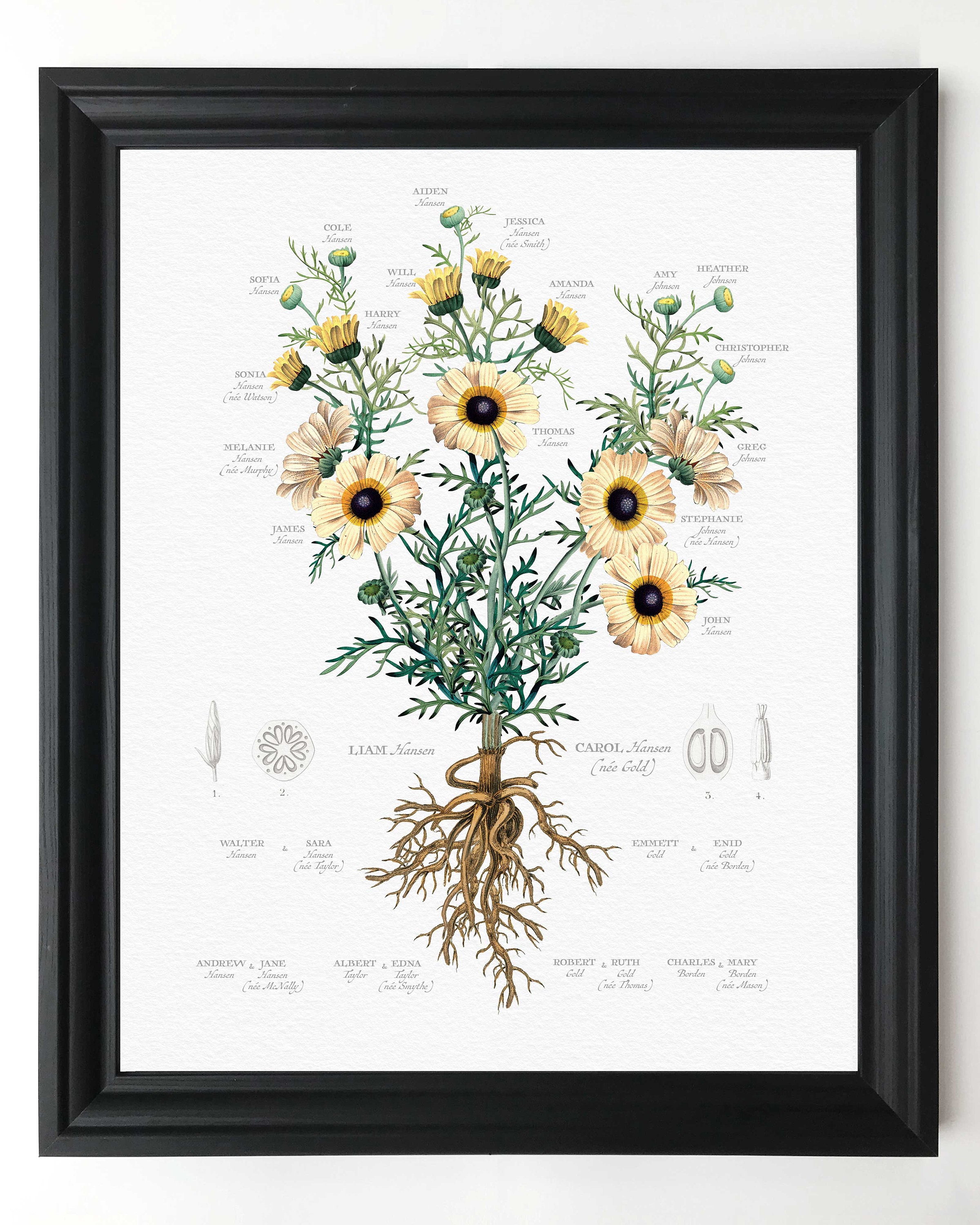 Botanical Family Tree: Custom Family Tree Design Made Using Historical ...