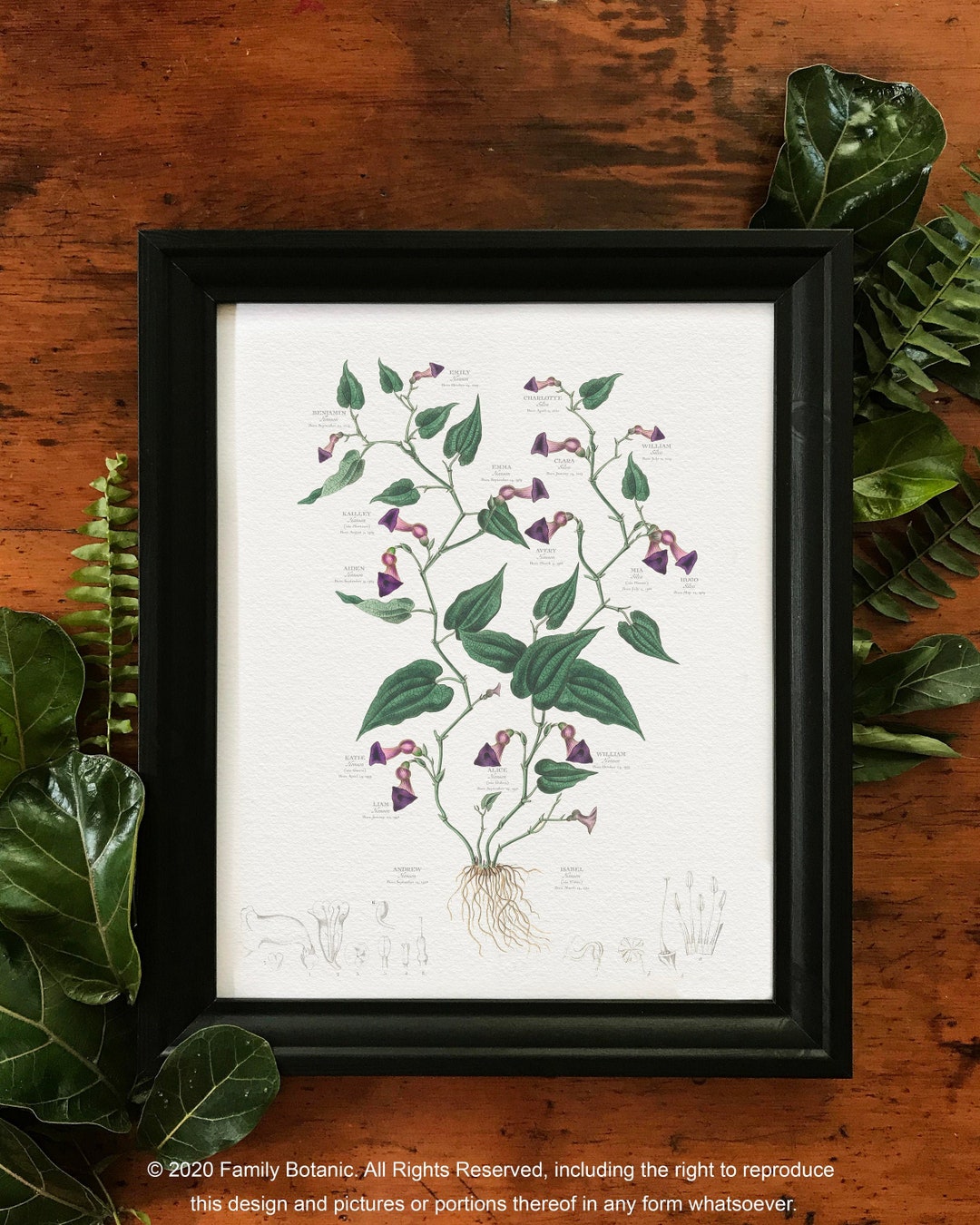 Botanical Family Tree: Custom-made & Framed Family Tree, Created From ...