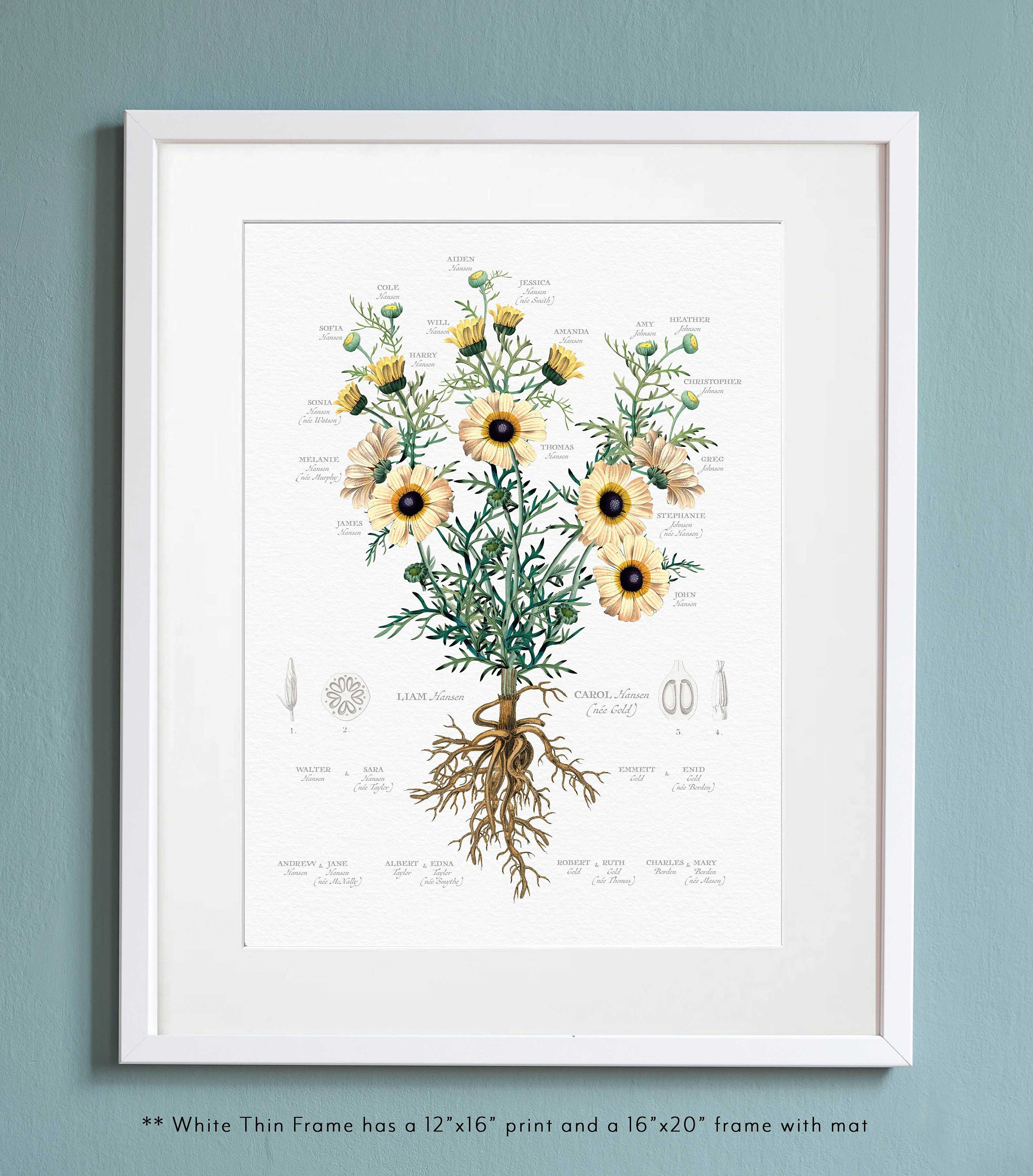 Botanical Family Tree: Custom Family Tree Design Made Using Historical ...