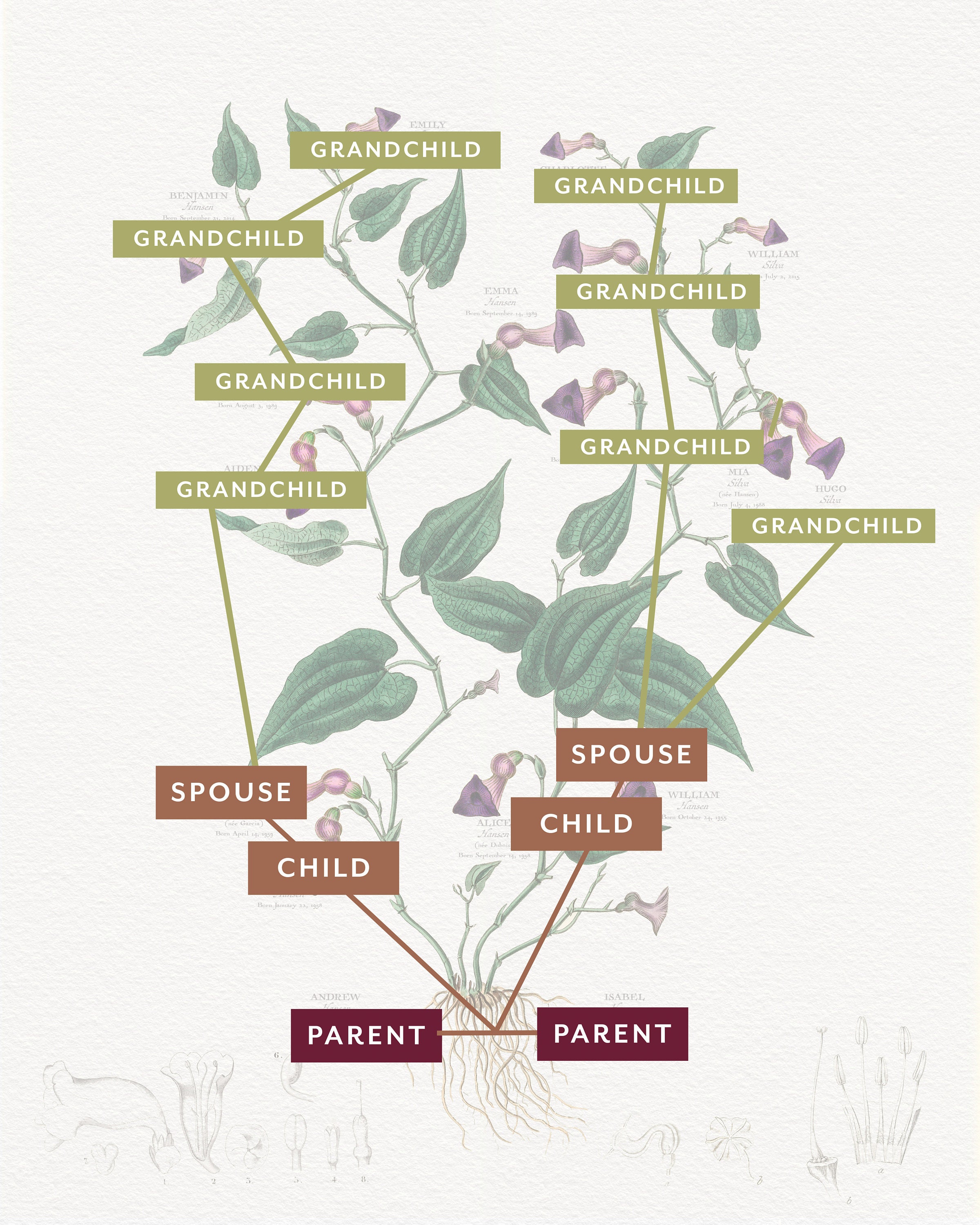 Botanical Family Tree: Custom-made & Framed Family Tree, Created From ...