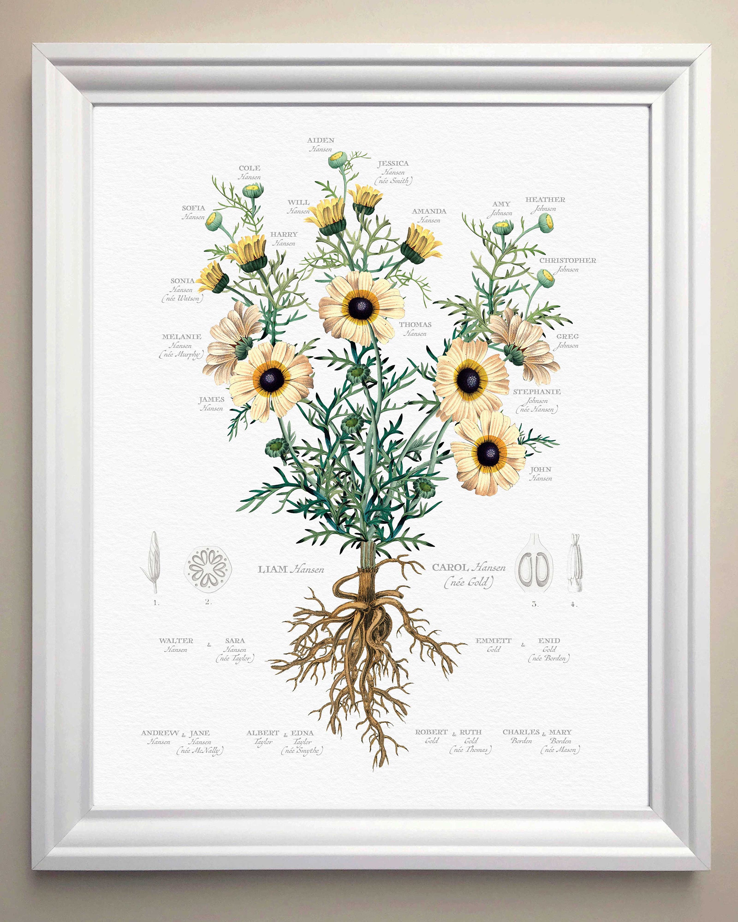 Botanical Family Tree: Custom Family Tree Design Made Using Historical ...