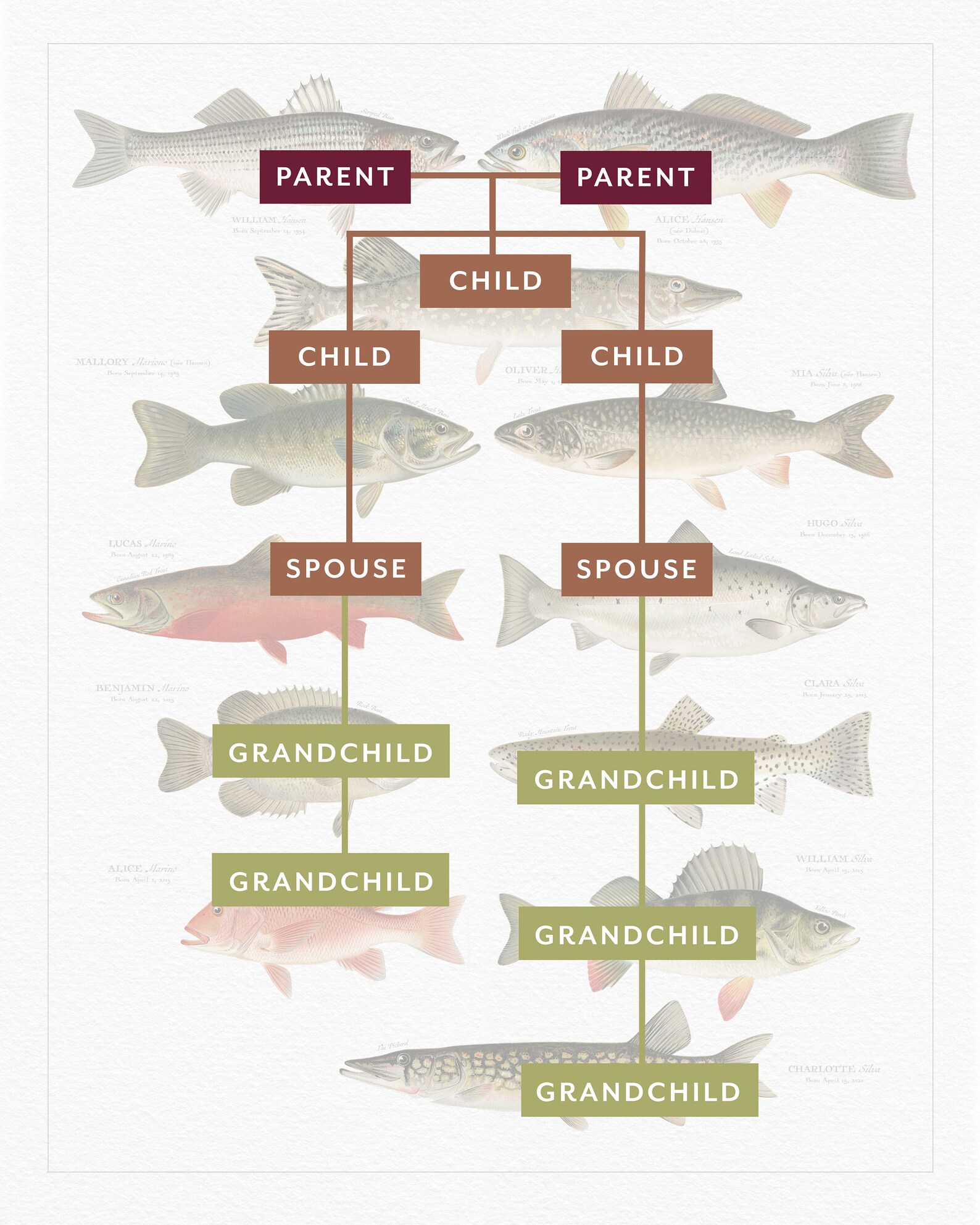 Fish Family Tree Created from North American Fish - Etsy.de