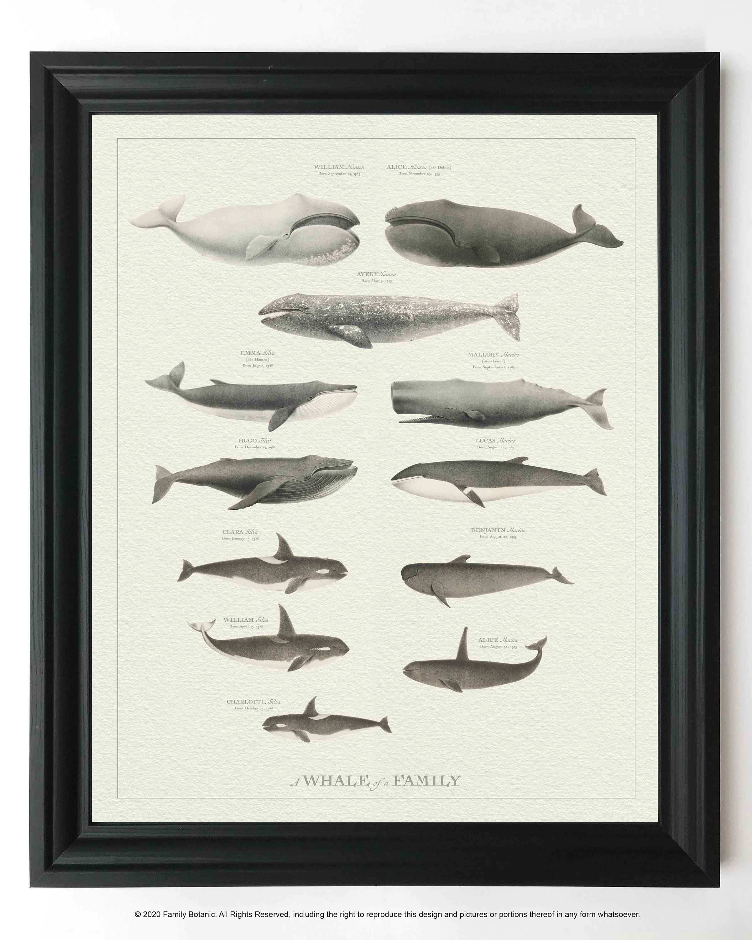 Botanical Whale Family Tree: Custom Family Tree Created From - Etsy