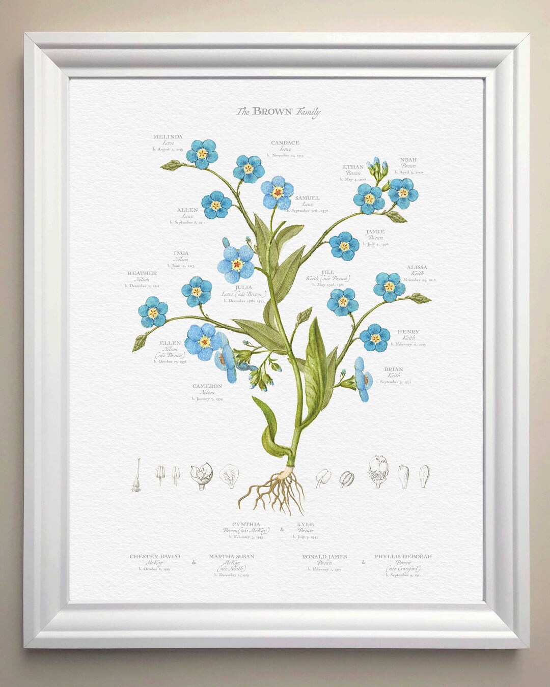 FORGET ME NOT Family Tree 4 or 5 Generations Custom Made Family Tree ...