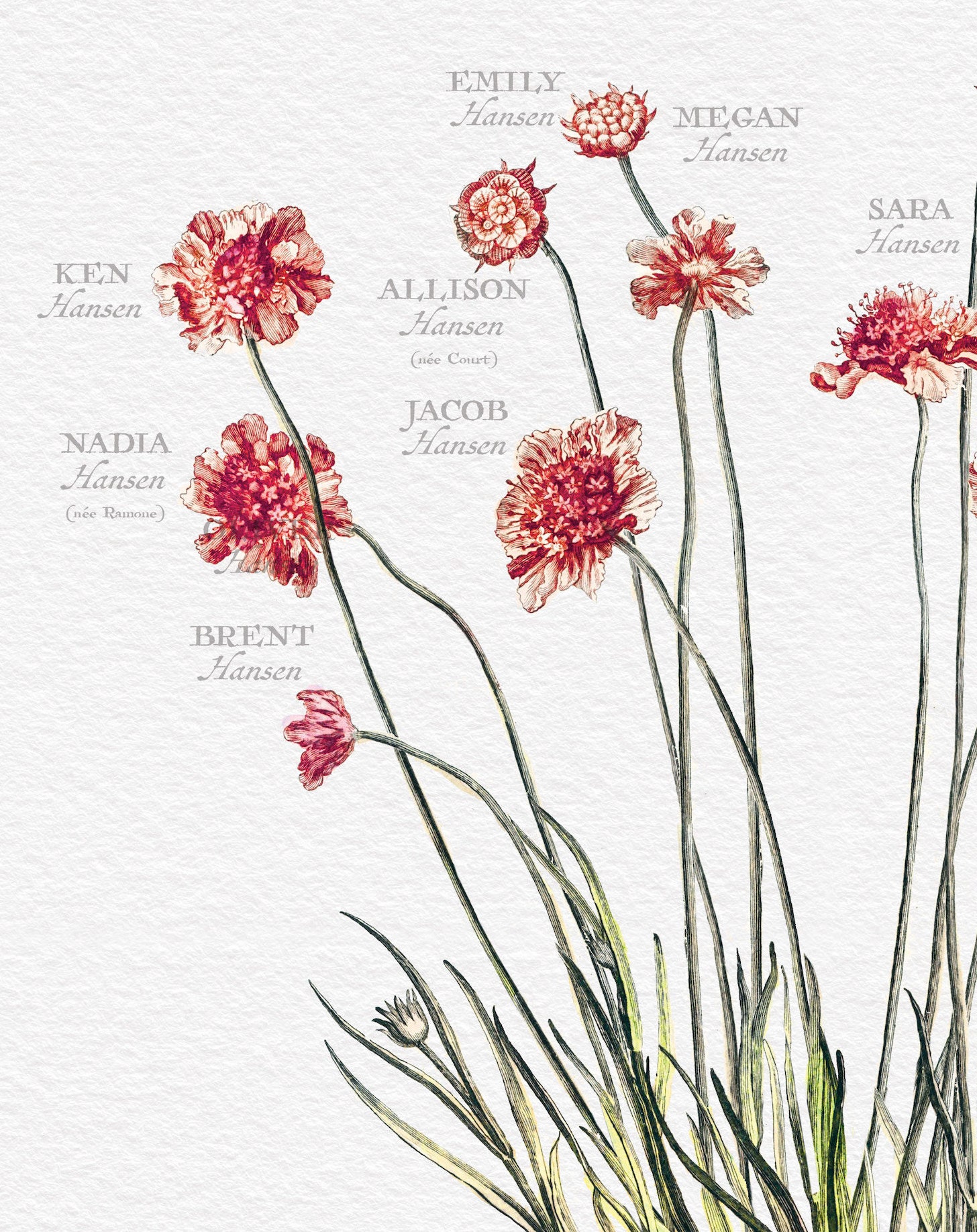 Family Tree Custom Made From Vintage Botanical Art,personalized Gift ...