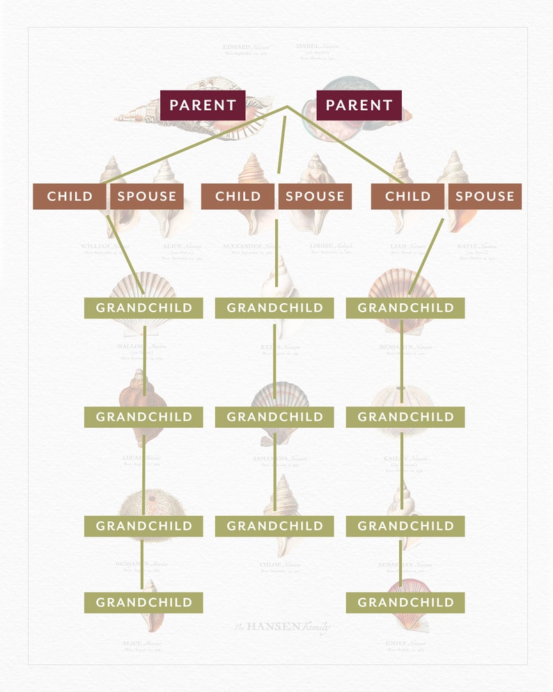 Vintage Shells Family Tree: Custom-made & Framed Family Tree | Etsy