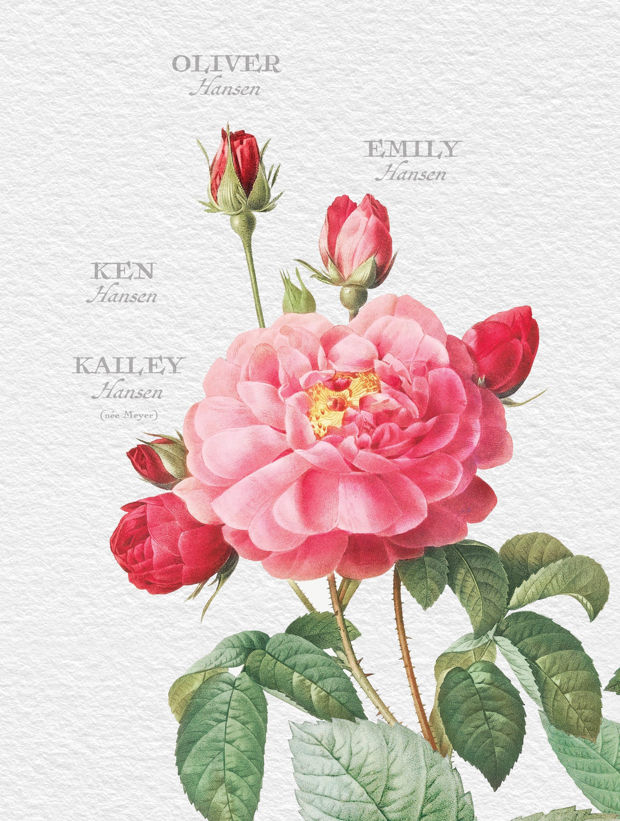 Botanical Family Tree: Personalized Roses Family Tree Art - Etsy