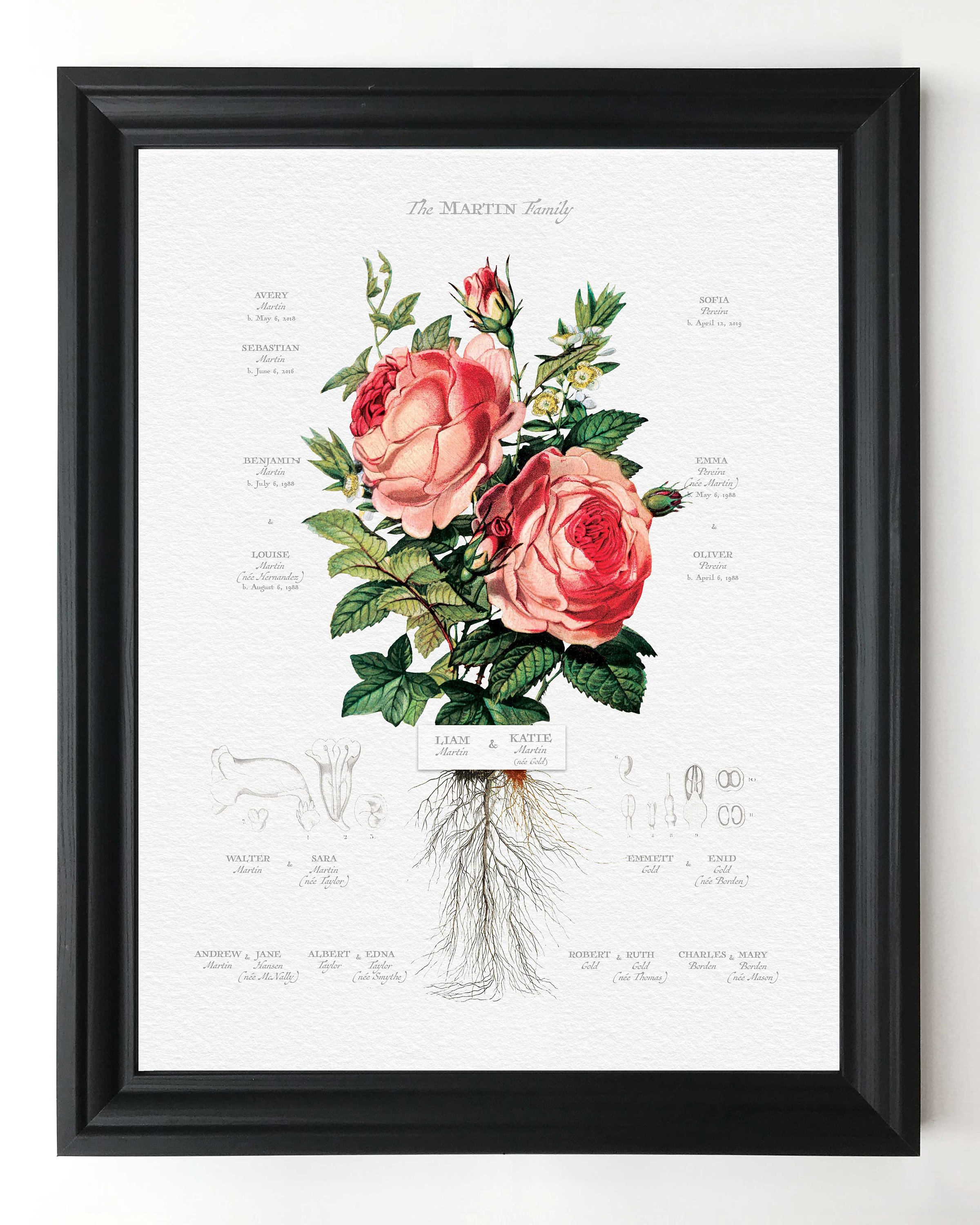 Vintage Rose Family Tree Design: Custom 5 Generation Family Tree Made ...
