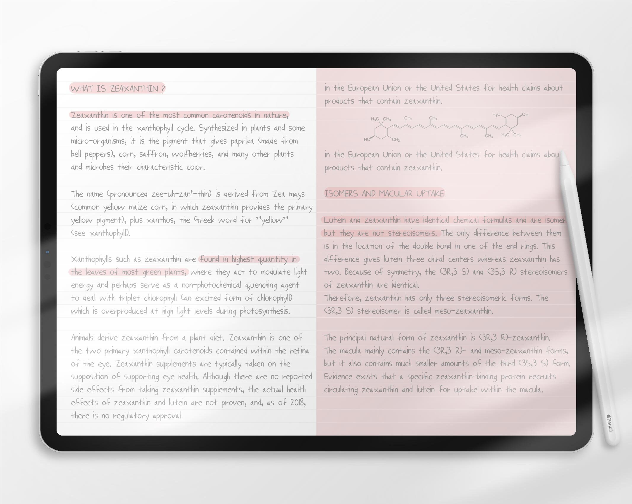 Digital Note Templates Horizontal Two Column Minimalist - Etsy