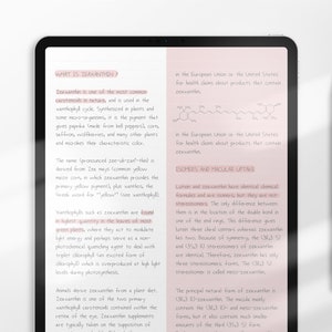 Digital Note Templates Two Column Minimalist Notebook Digital ...