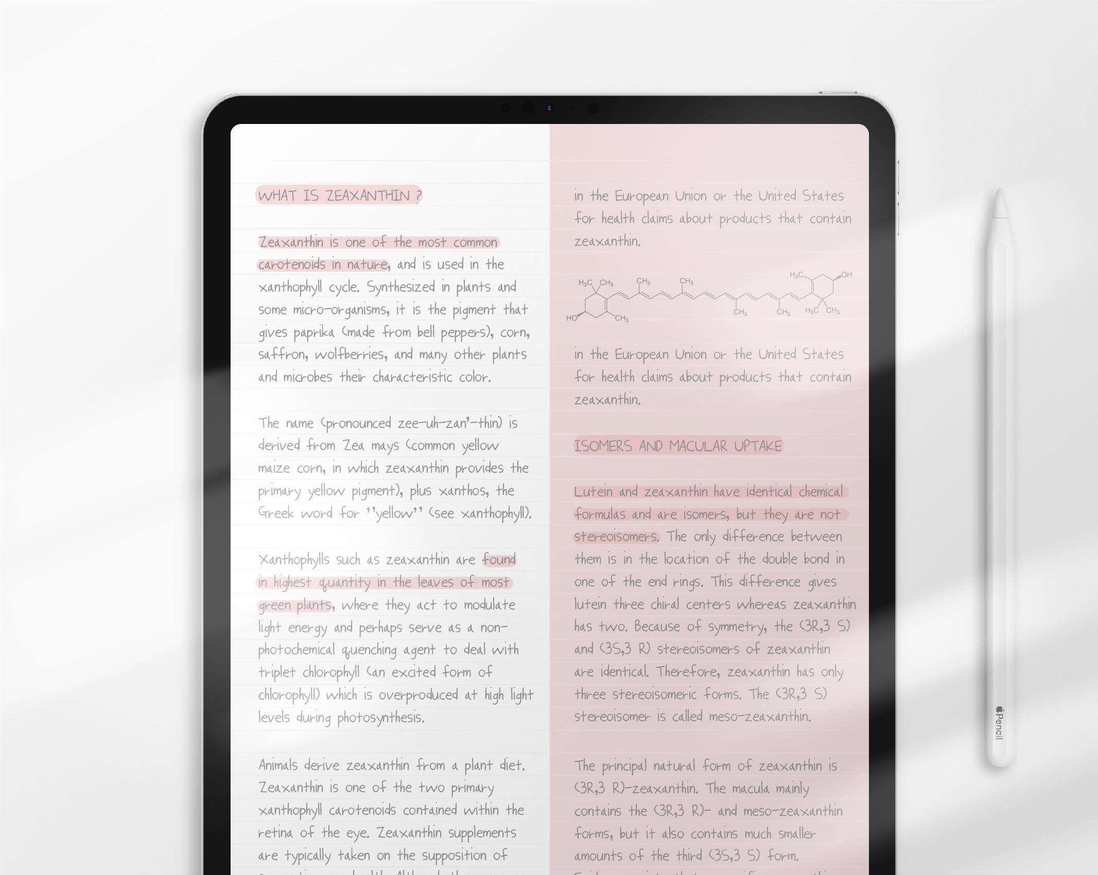 Digital Note Templates Two Column Minimalist Notebook Digital ...