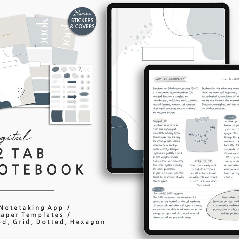 Goodnotes Template - Etsy