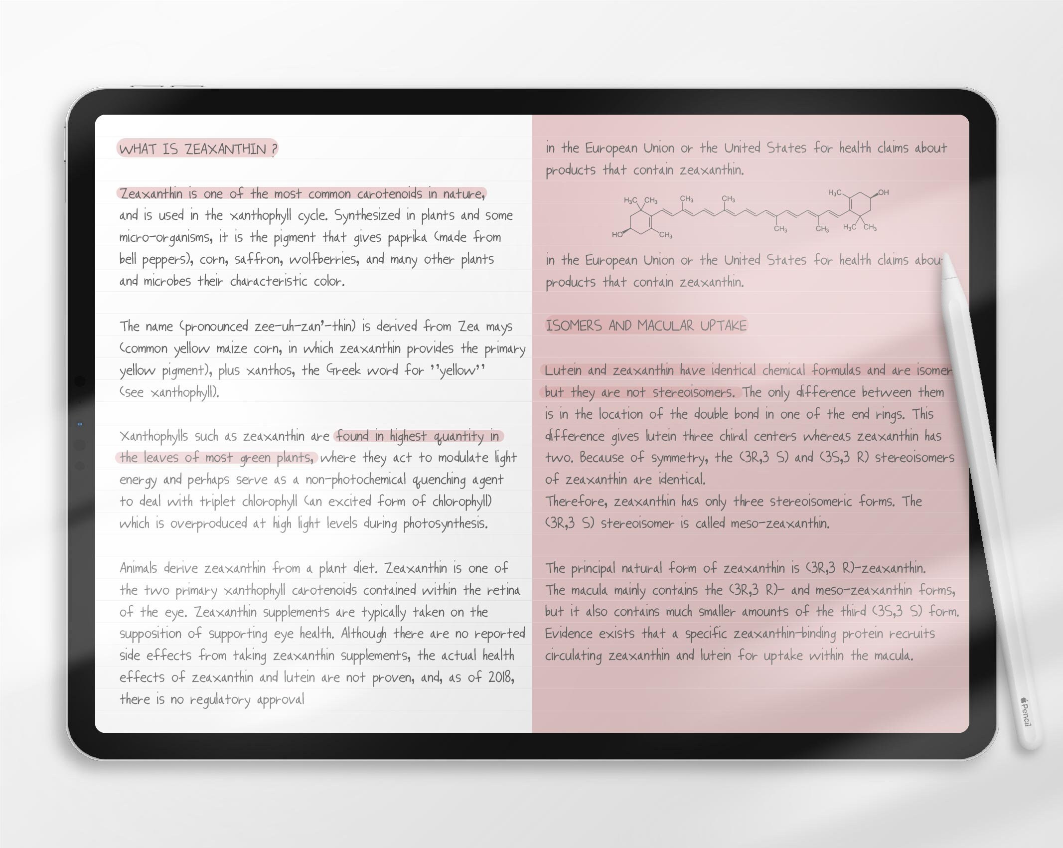 Digital Note Templates Horizontal Two Column Minimalist - Etsy