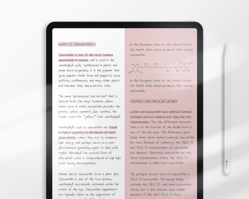 Digital Note Templates Two Column Digital Notetaking Printable - Etsy