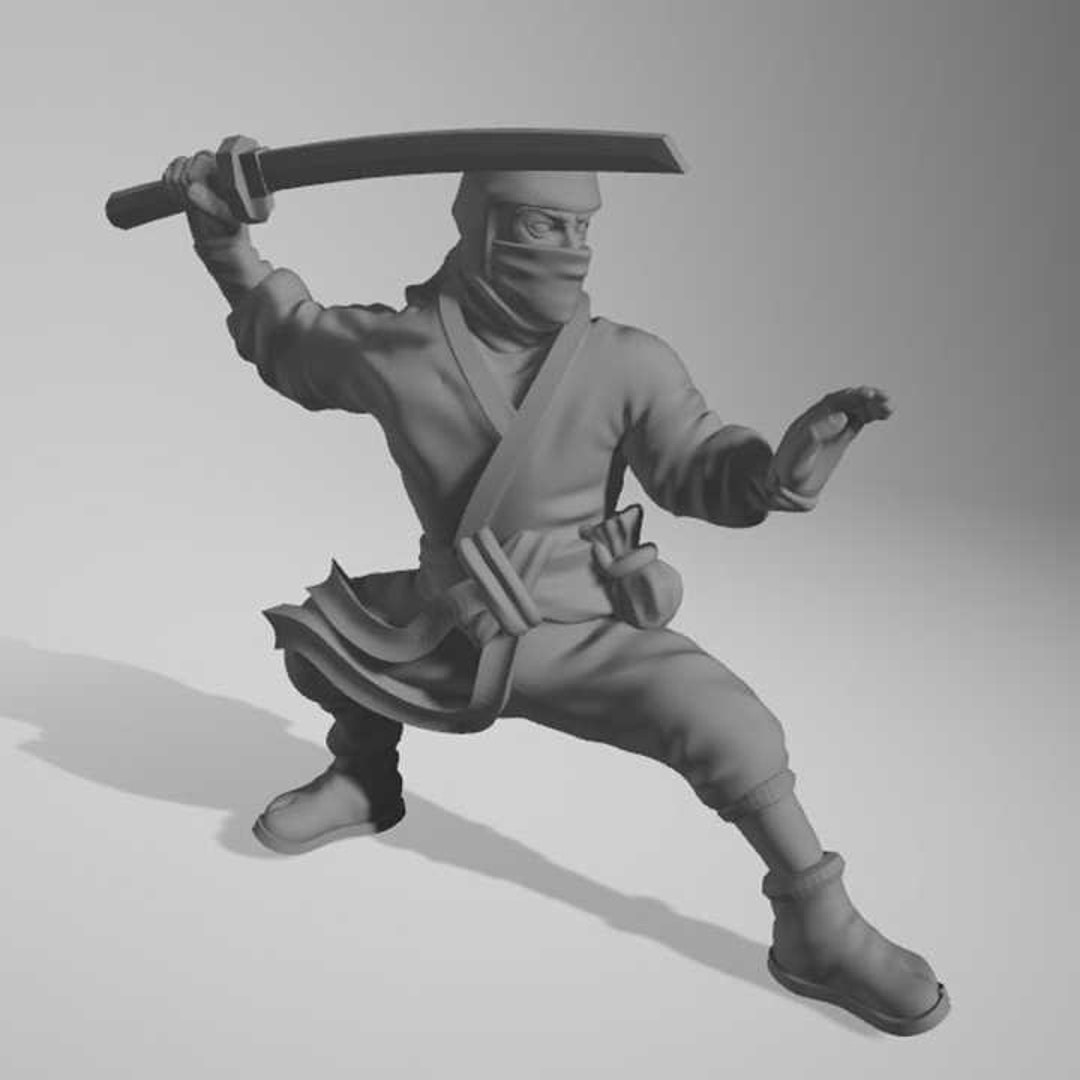 Ninja Pose 2 Asian Adventures Diorama D&D 5e - Etsy