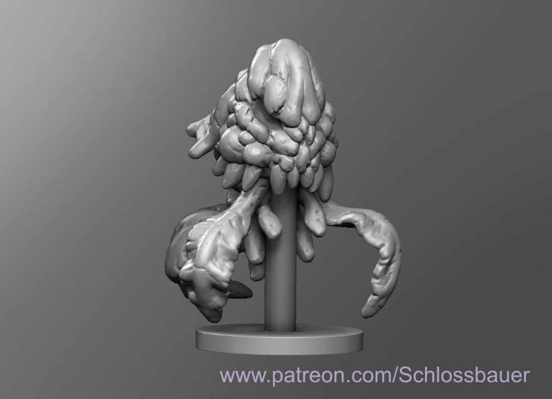 Death's Head Jellyfish Dungeons & Dragons 5e Resin Mini - Etsy