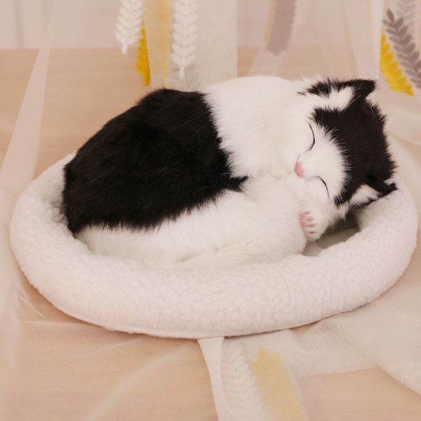 Realistic Stuffed Cat - Etsy