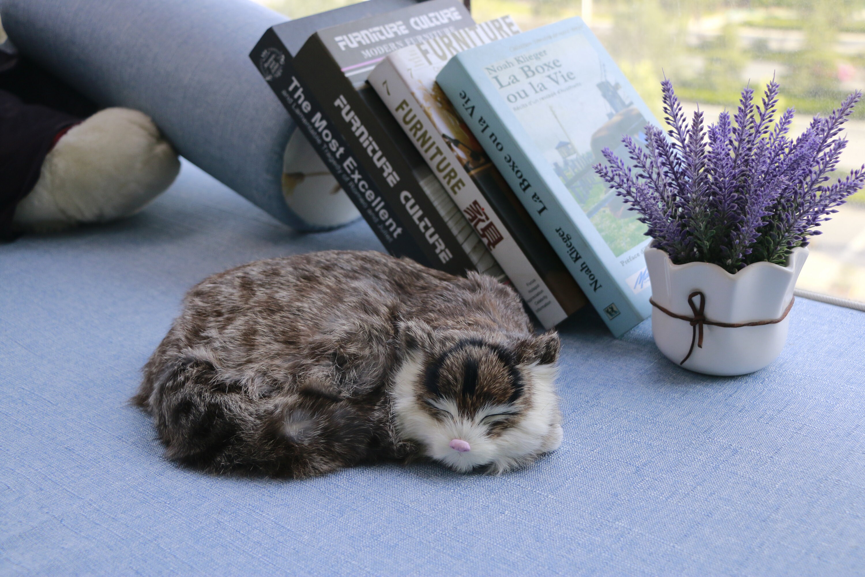 Realistic Cat Figurines Decorlifelike Animal Figures - Etsy