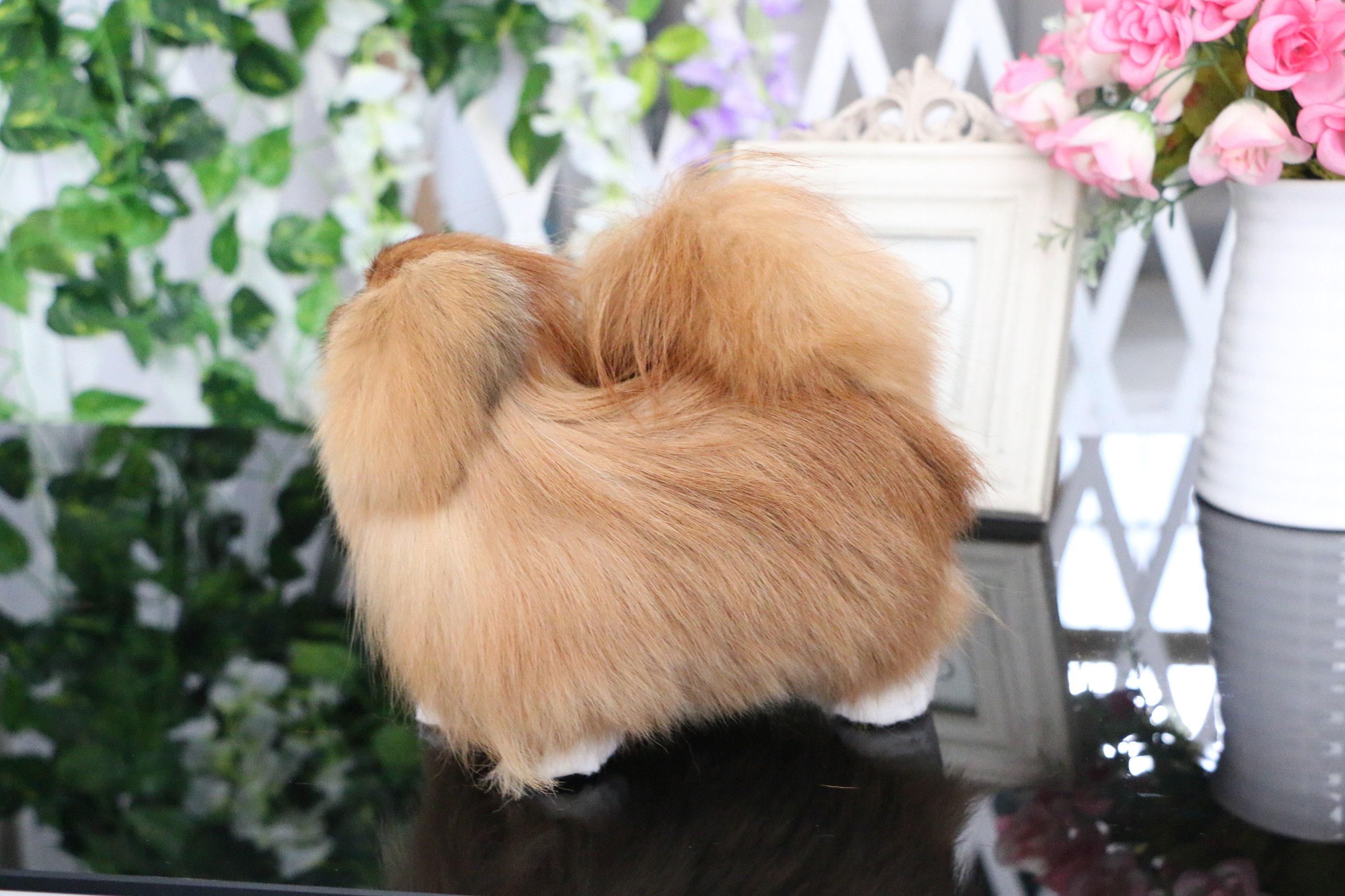 Pekingese Realistic Dog Plush Toy Lifelike Puppy Animal Model - Etsy