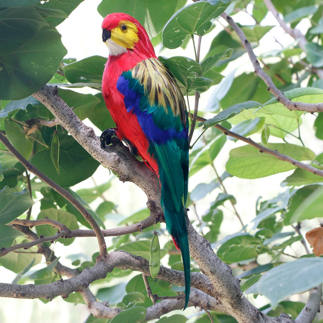 Artificial Birds Fake Birds Realistic Parrot Feathered Birds Parrot ...