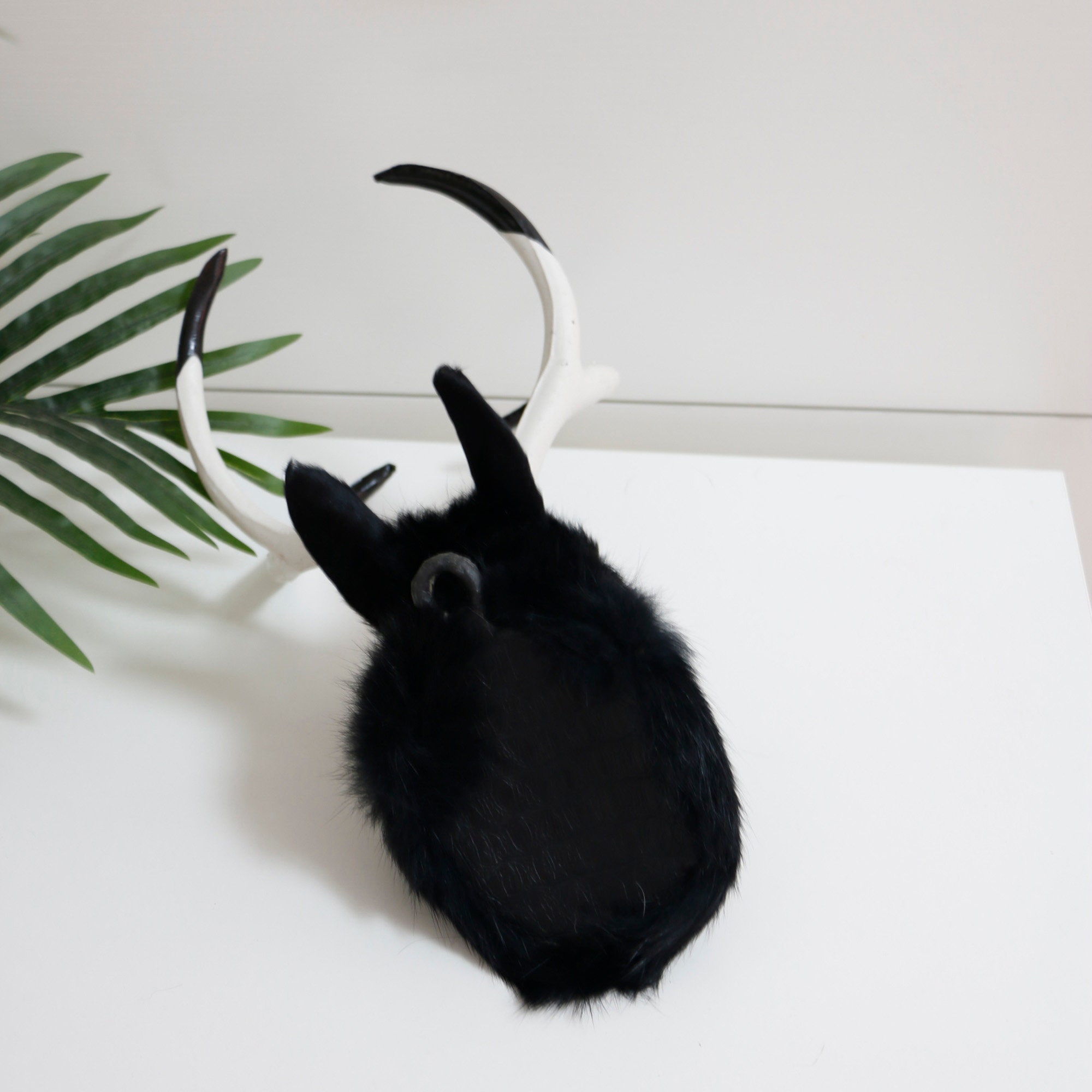 JACKALOPE Head Mount REALISTIC FURRY ANIMAL REPLICA Prop 03t FREE ...