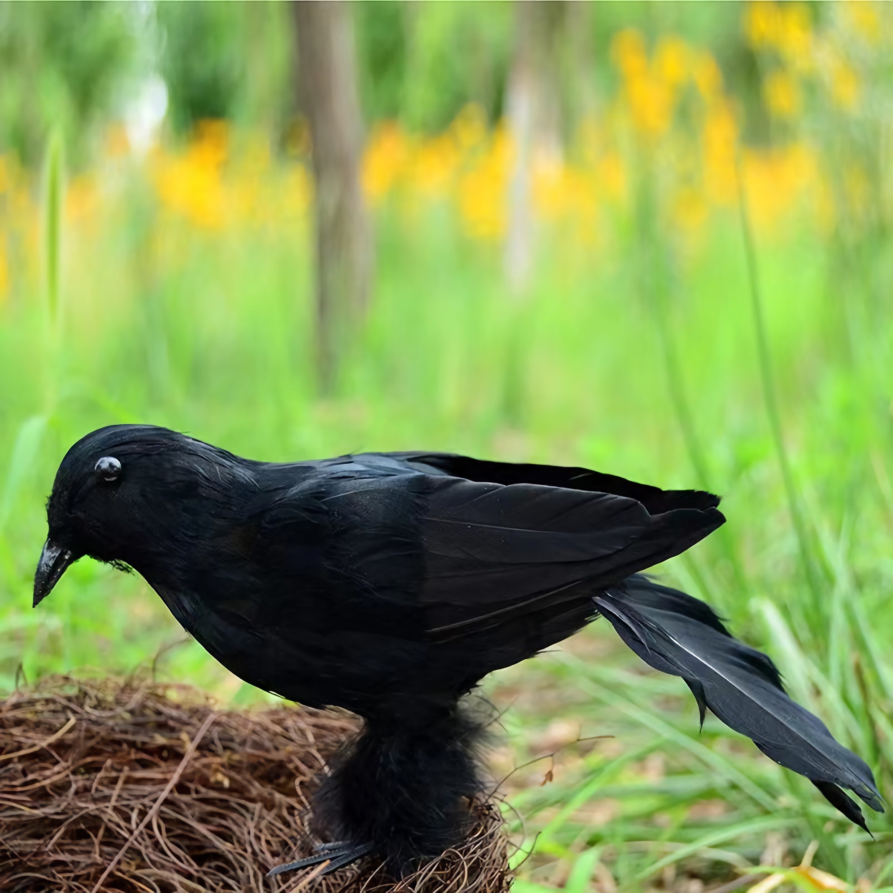 Realistic Black Feathered Crow Sculpture Figurine Statue - Etsy