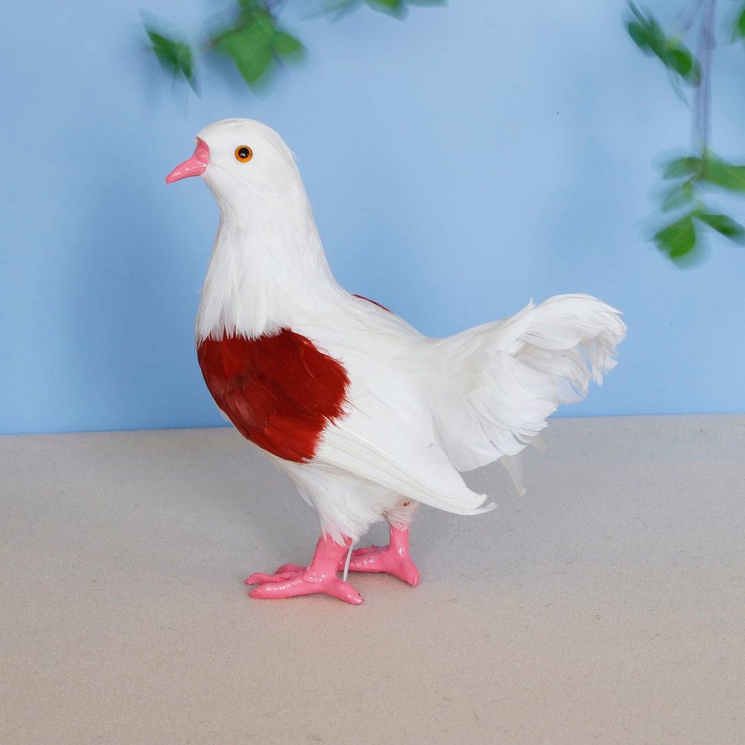Handmade Pigeon Replica Fake Pigeon Figurine That Looks Real Lifelike ...