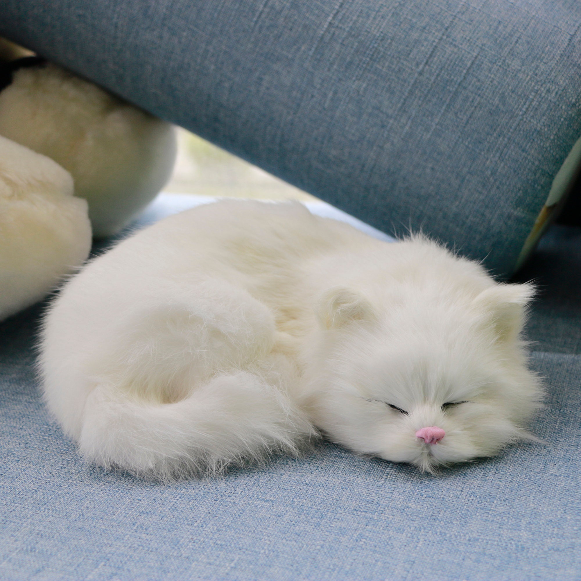 Realistic Cat Plush Animal Figurines Statue Miniature Replica - Etsy UK