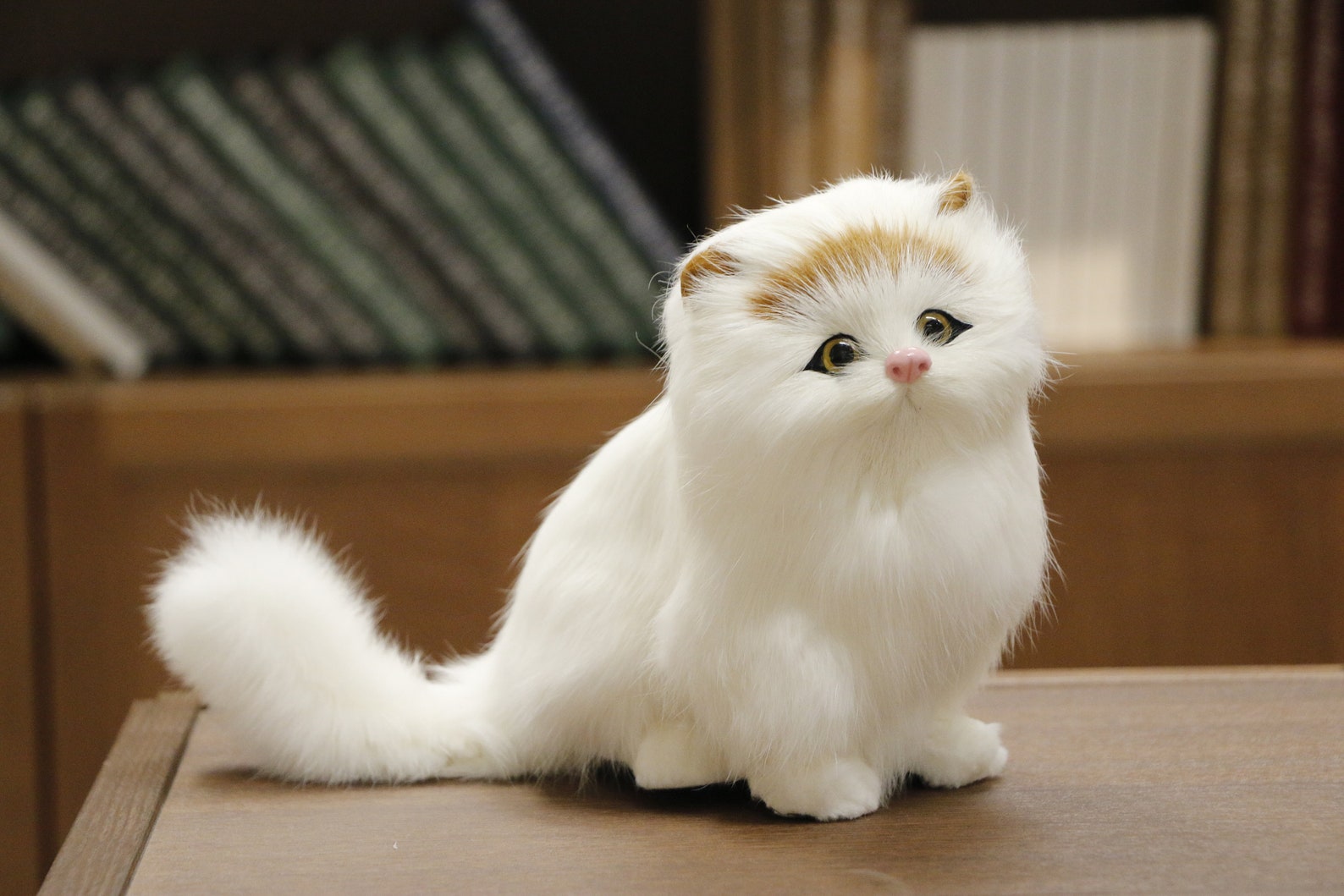 Realistic Cat Plush Furry Kitten Lifelike Animal Figurines | Etsy