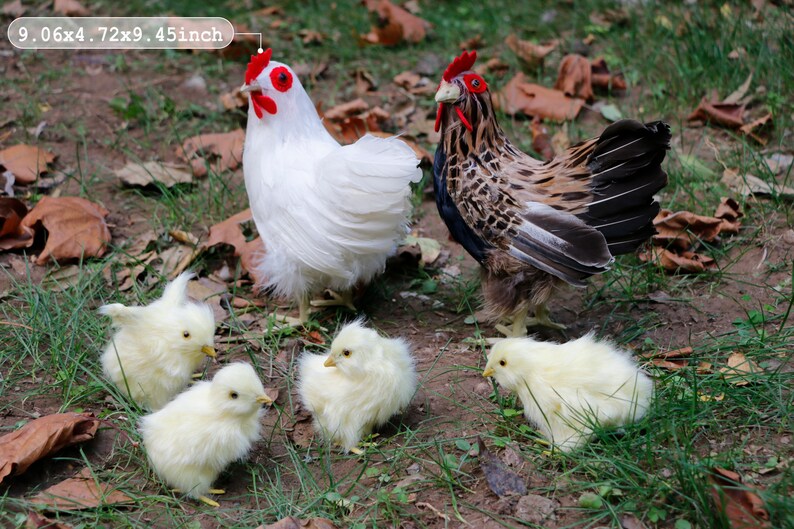 Fake Chicken Figurine Hen Rooster Taxidermy Miniature Replica - Etsy