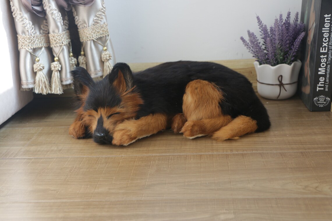 Sleeping Dog Realistic Plush Lifelike Puppy Figurine Animal - Etsy