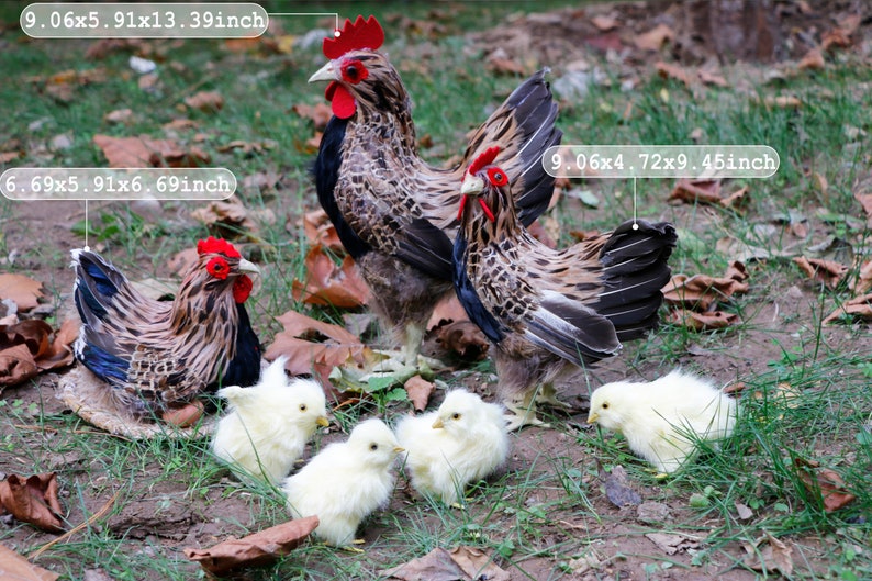 Fake Chicken Figurine Hen Rooster Taxidermy Miniature Replica Decor ...