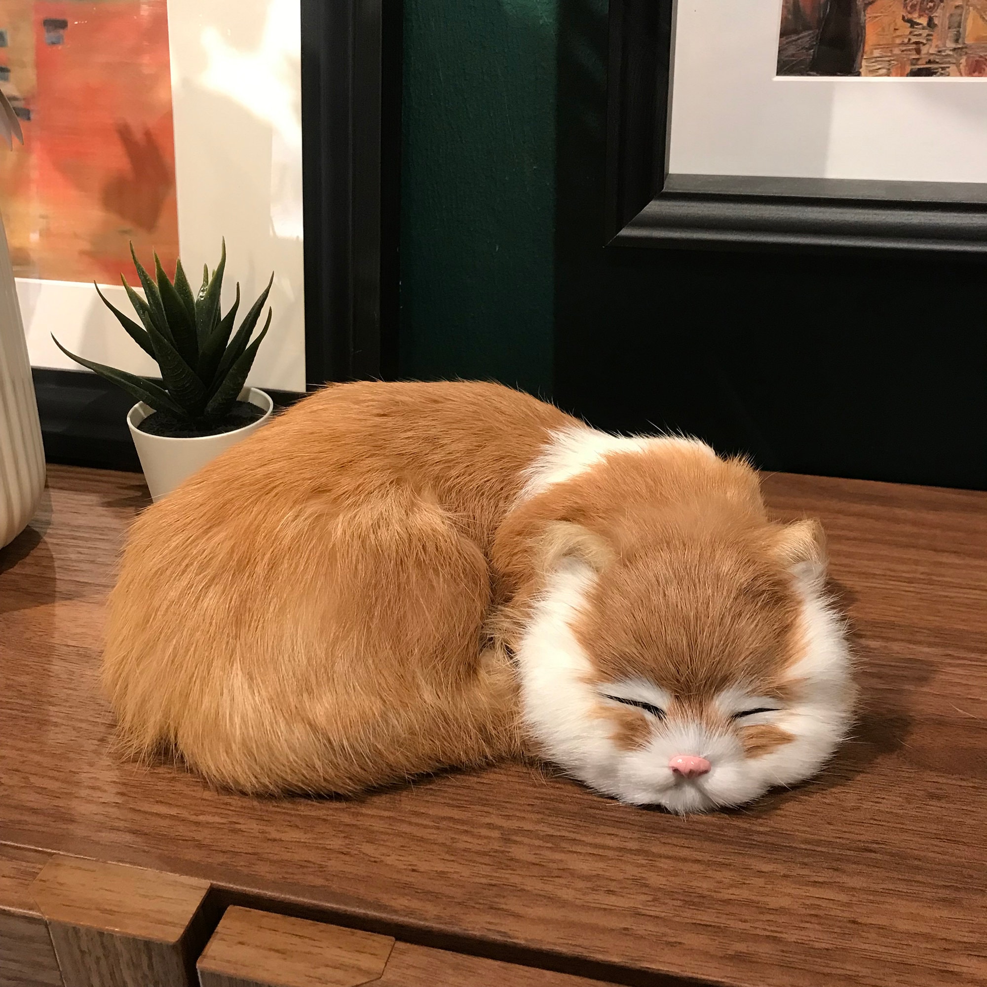 Realistic Cat Plush Animal Figurines Statue Miniature Replica Dolls ...