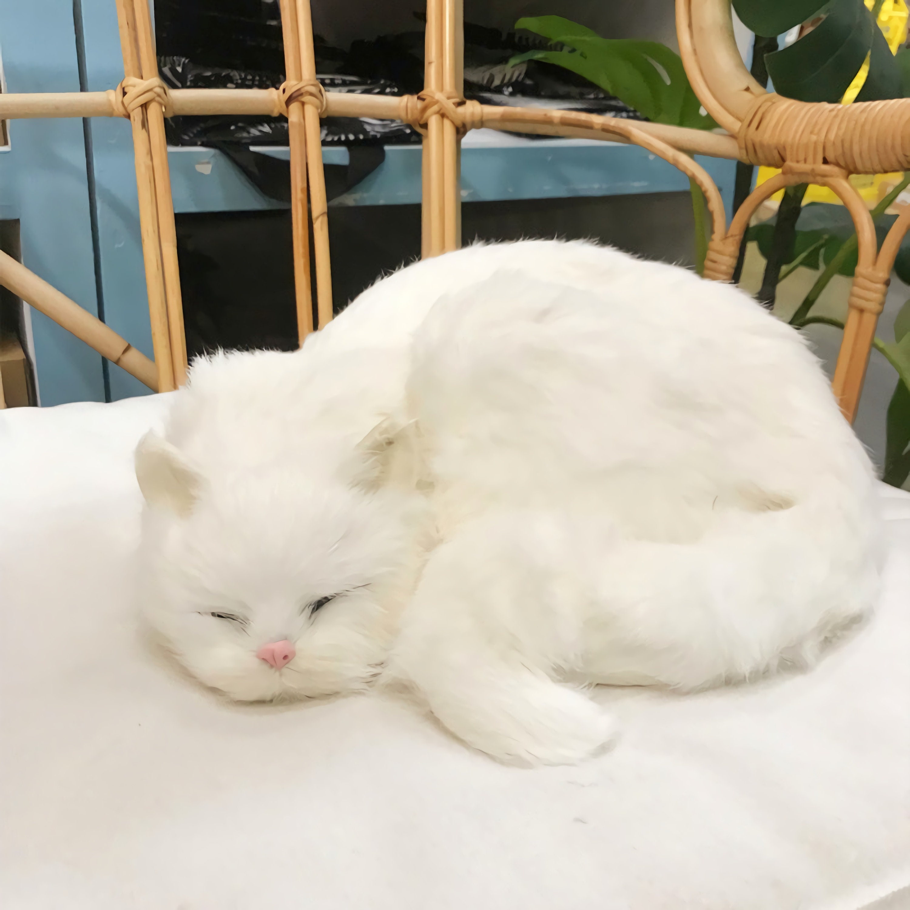Realistic Cat Figurines Decor,lifelike Animal Figures Miniatures ...