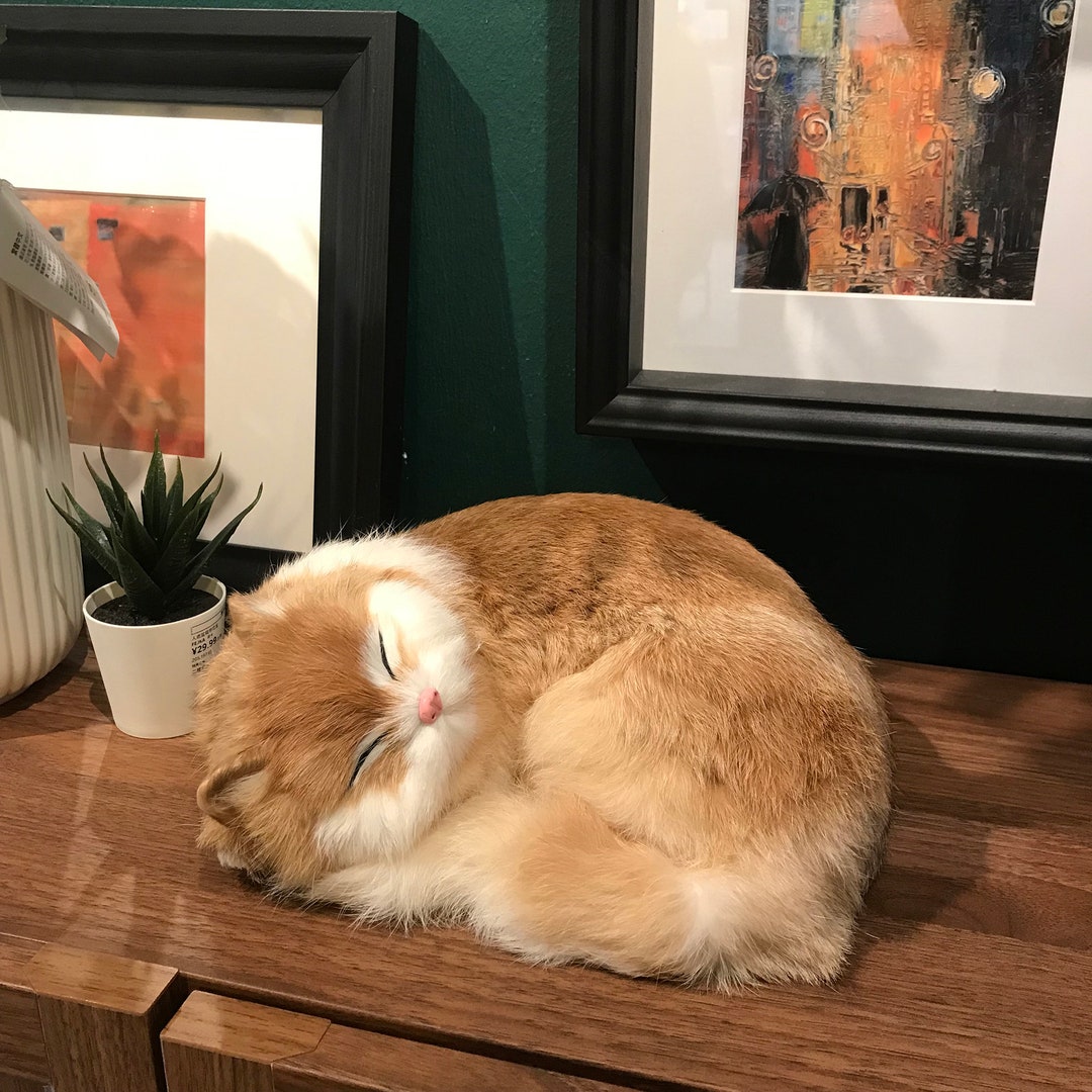 Realistic Cat Figurines Decor,lifelike Animal Figures Miniatures ...