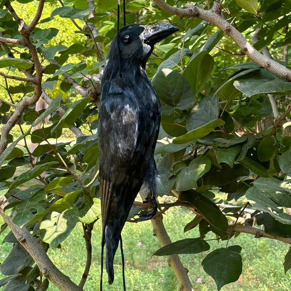 Large Raven Halloween Prop Etsy