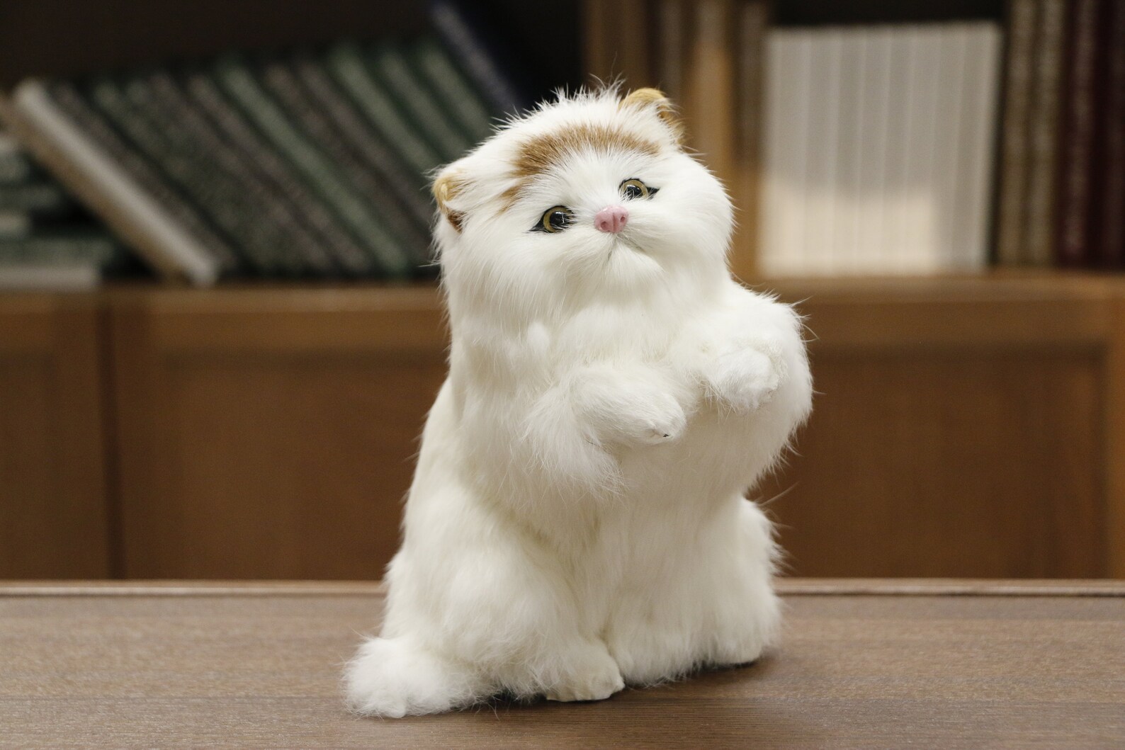 Realistic Cat Plush Furry Kitten Lifelike Animal Figurines Miniature ...