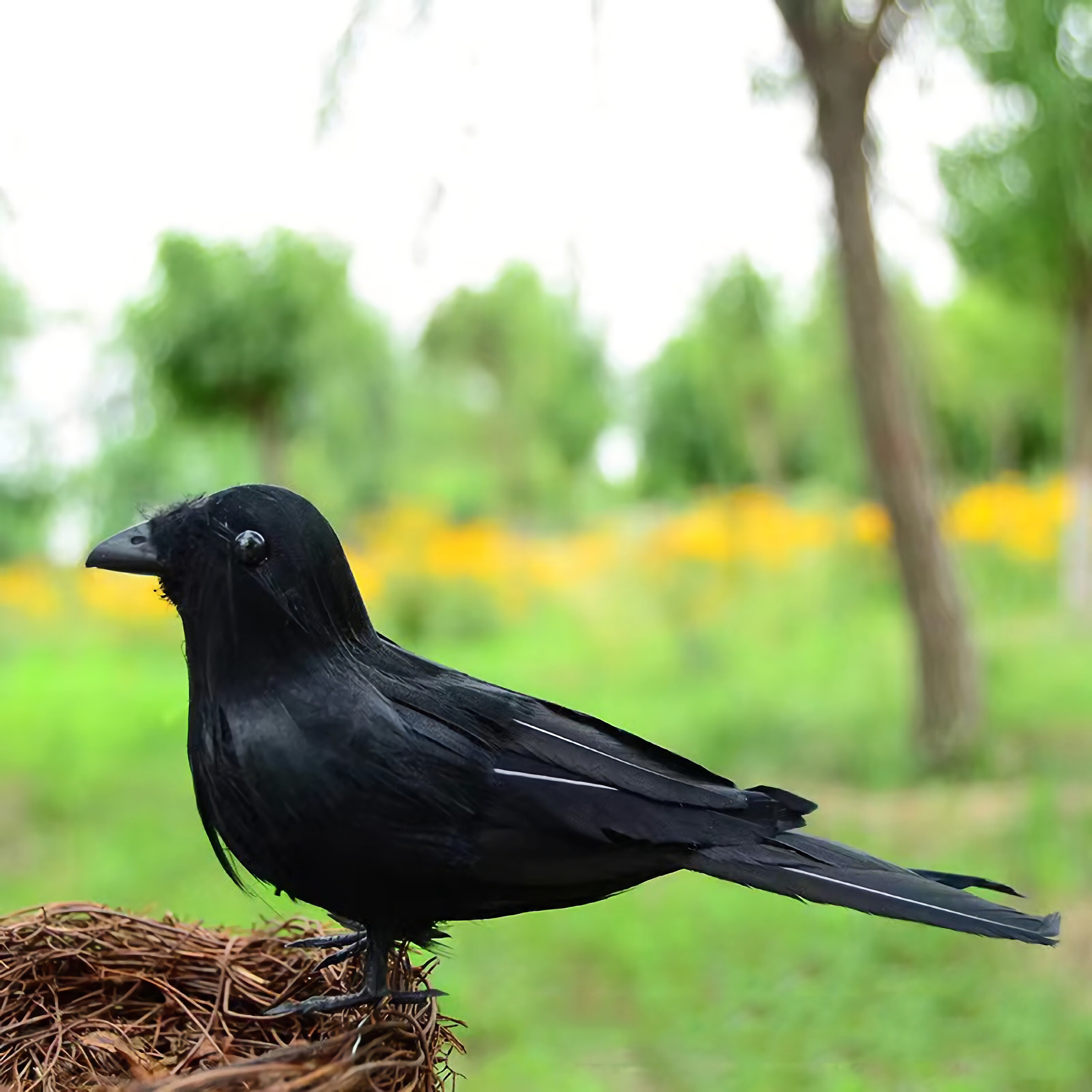 Realistic Black Feathered Crow Sculpture Figurine Statue - Etsy