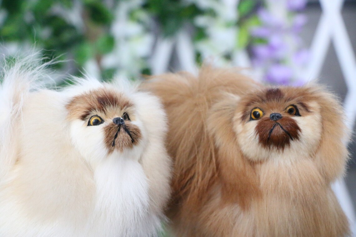 Pekingese Realistic Dog Plush Toy Lifelike Puppy Animal Model - Etsy