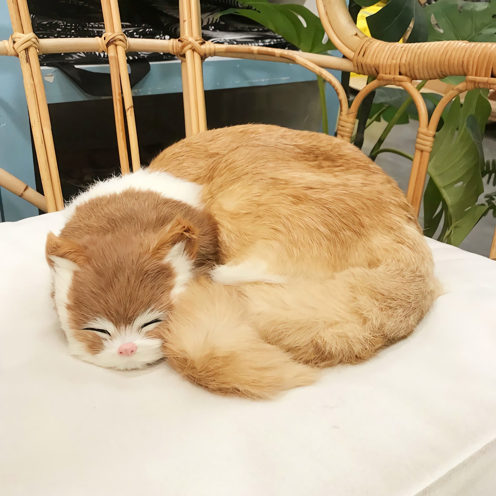 Realistic Cat Figurines Decor,lifelike Animal Figures Miniatures ...