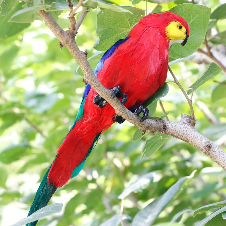 Artificial Birds Fake Birds Realistic Parrot Feathered Birds Parrot ...