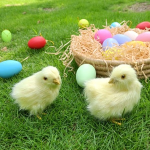 4 Pcs per Set Realistic Easter Baby Chicks chirping Chicks Toy ...