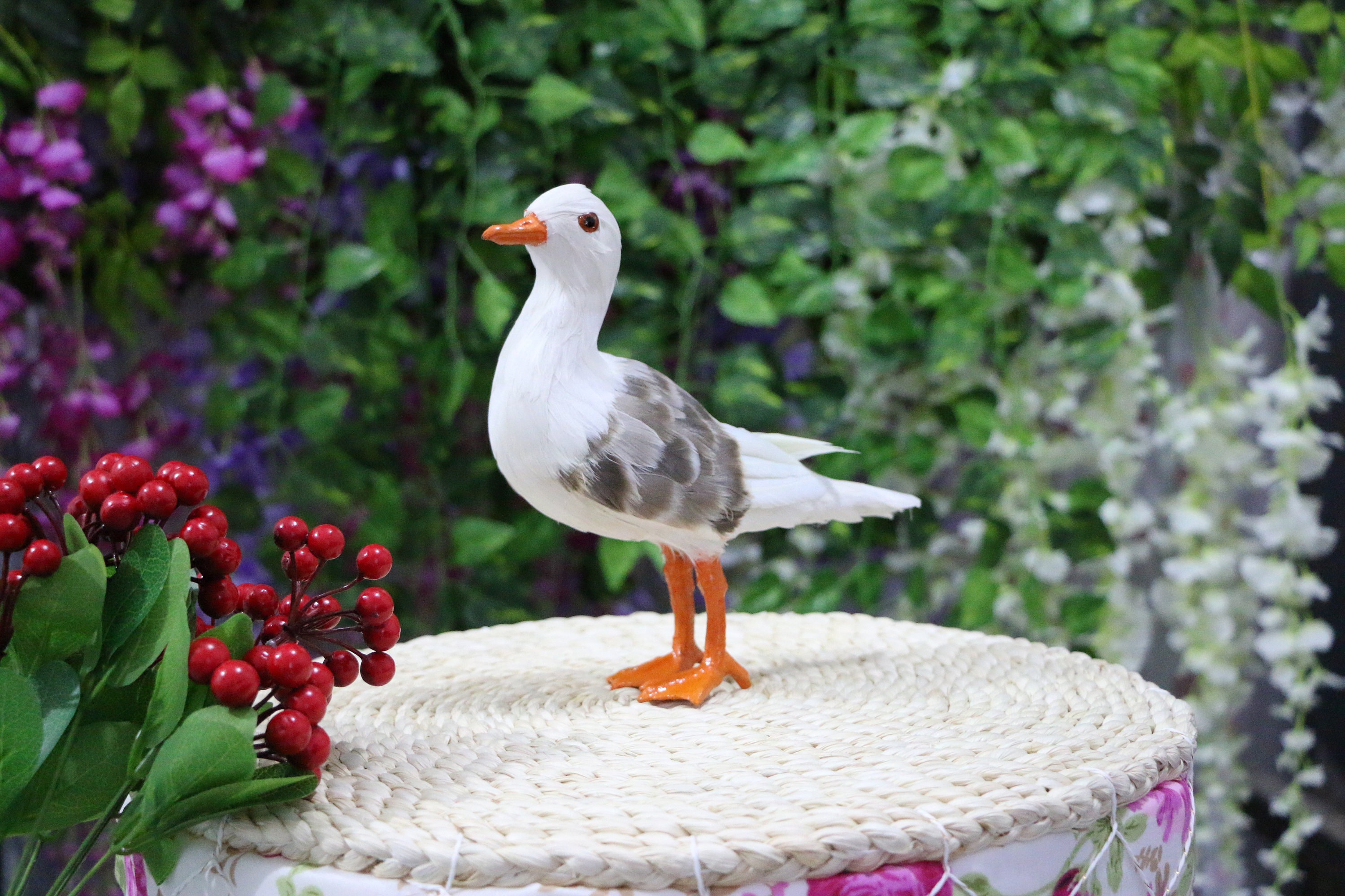 Realistic Seagull Decor Taxidermy Bird Decorative Animal Figurines ...