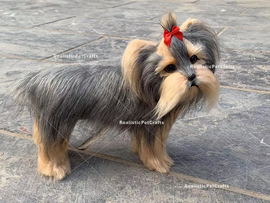 Yorkie Terrier Realistic Dog Puppy Plush Animals Figurines | Etsy