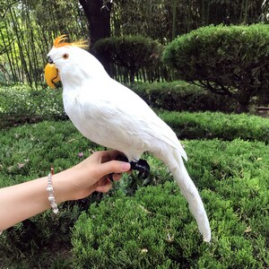 Artificial Birds Fake Birds Realistic Parrot Feathered Birds Parrot ...