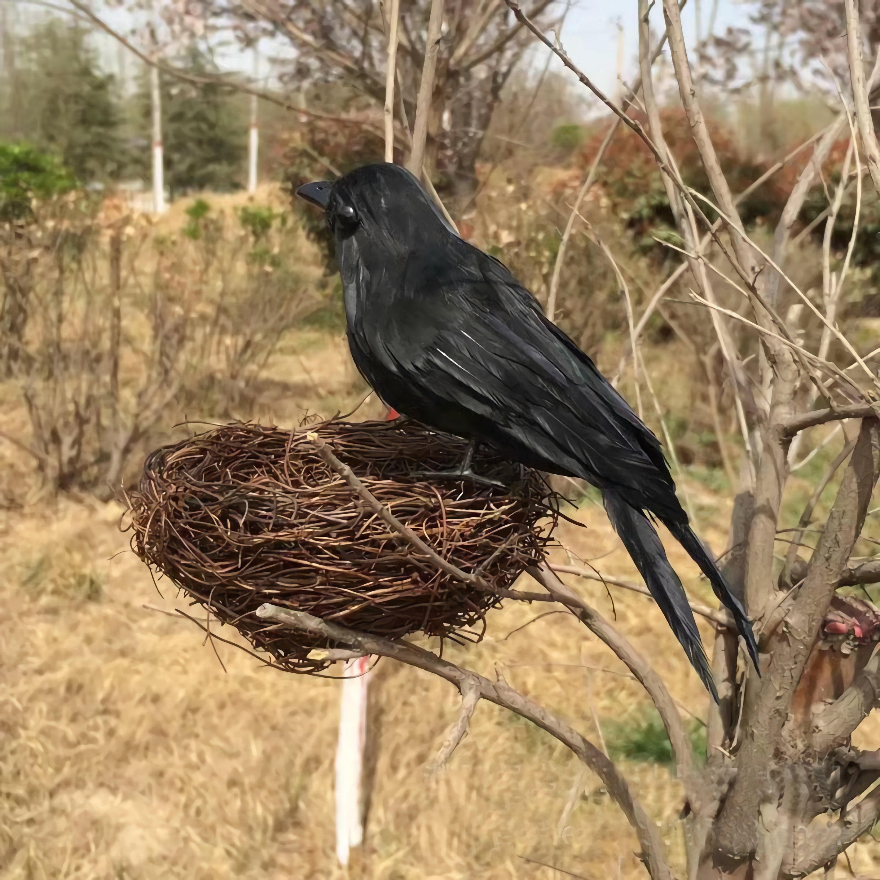Realistic Black Feathered Crow Sculpture Figurine Statue - Etsy