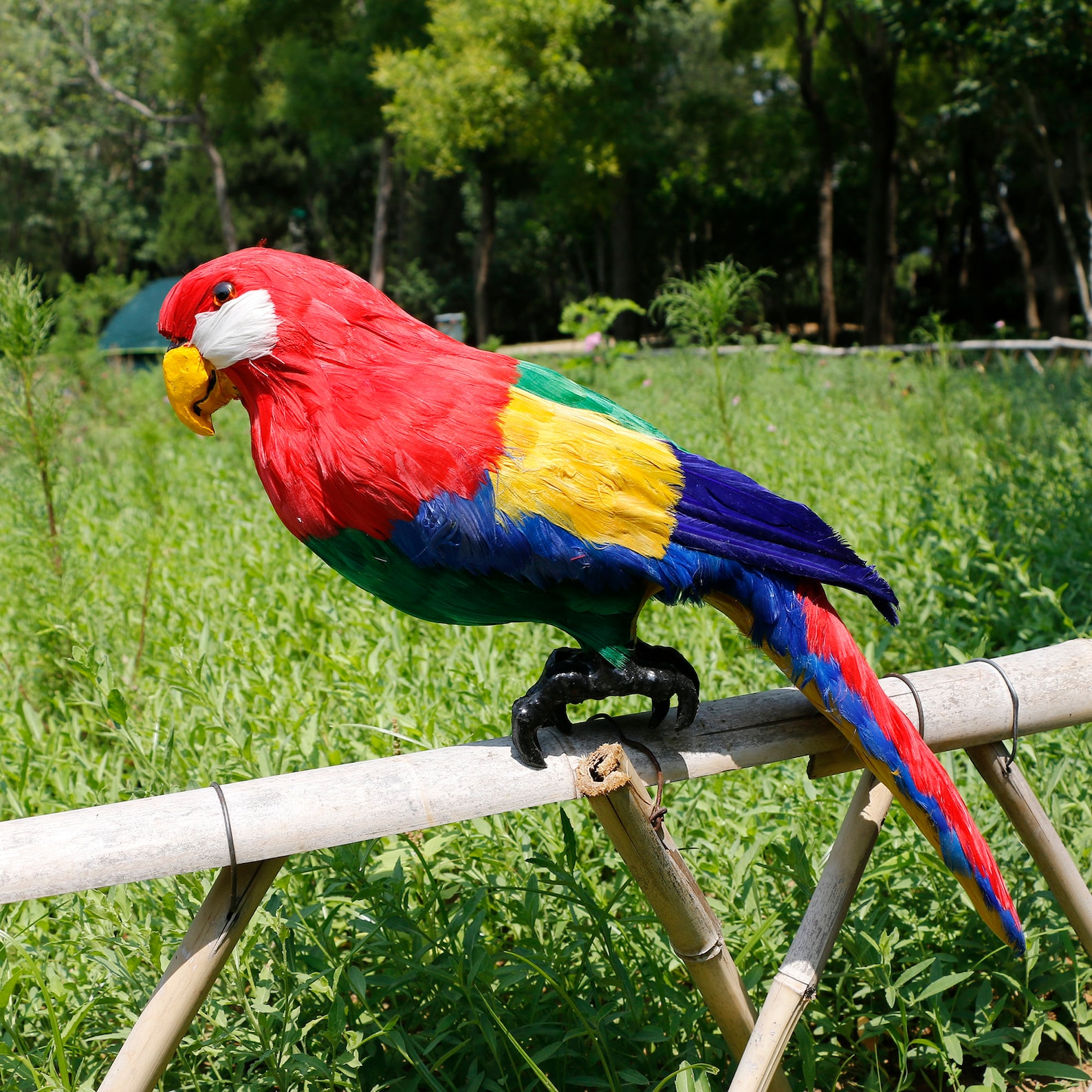 Artificial Birds Fake Birds Realistic Parrot Feathered Birds Parrot ...