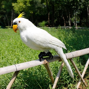 Artificial Birds Fake Birds Realistic Parrot Feathered Birds Parrot ...